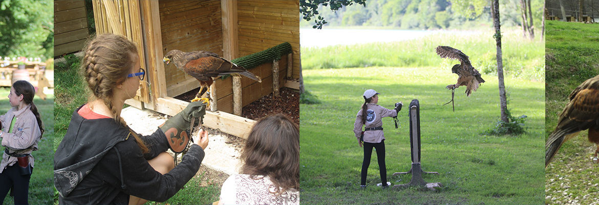Stages de fauconnerie - La fauconnerie à pied