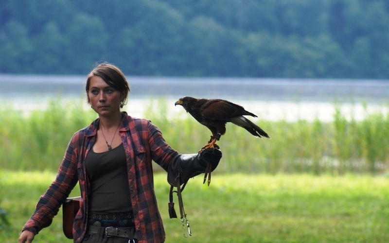 Stages de fauconnerie - Stage de perfectionnement à la fauconnerie